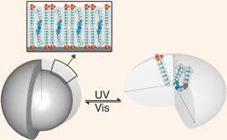 Materials with light-sensitive physical properties | News | Chemistry World