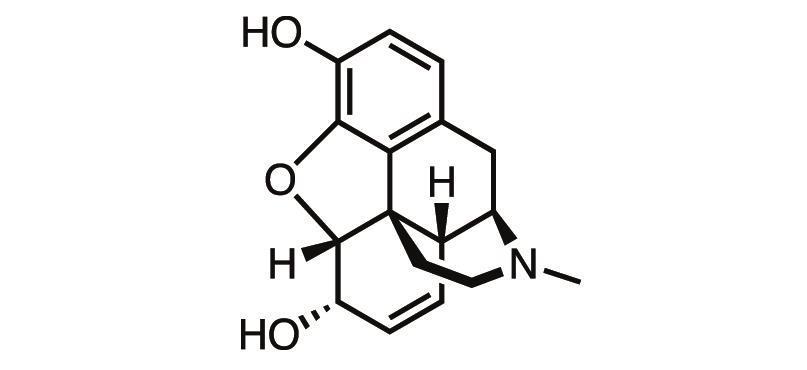 Chemical Makeup Of Morphine Mugeek Vidalondon