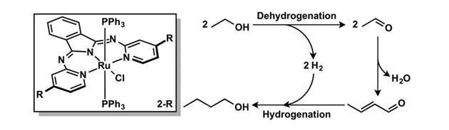 Ethanol to butanol conversion shows sustainable potential | Research ...
