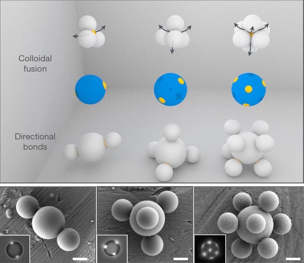 Patchy particles with predictable patterns | Research | Chemistry World