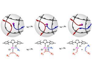 New shape for cross-linked polymers | Research | Chemistry World