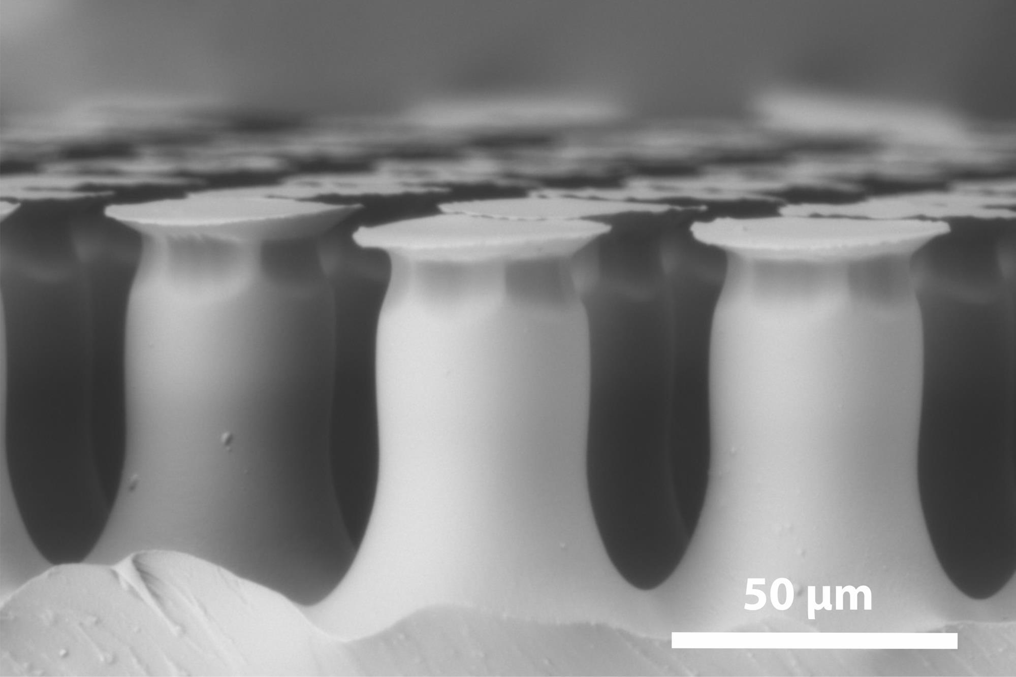 Gecko-inspired adhesive unsticks with a flash of light | Research ...