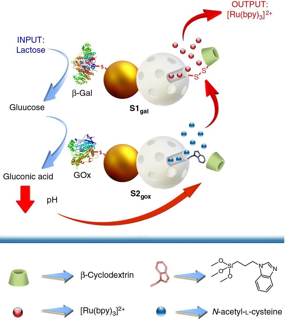 Engineered nanoparticles start up a conversation | Research | Chemistry ...