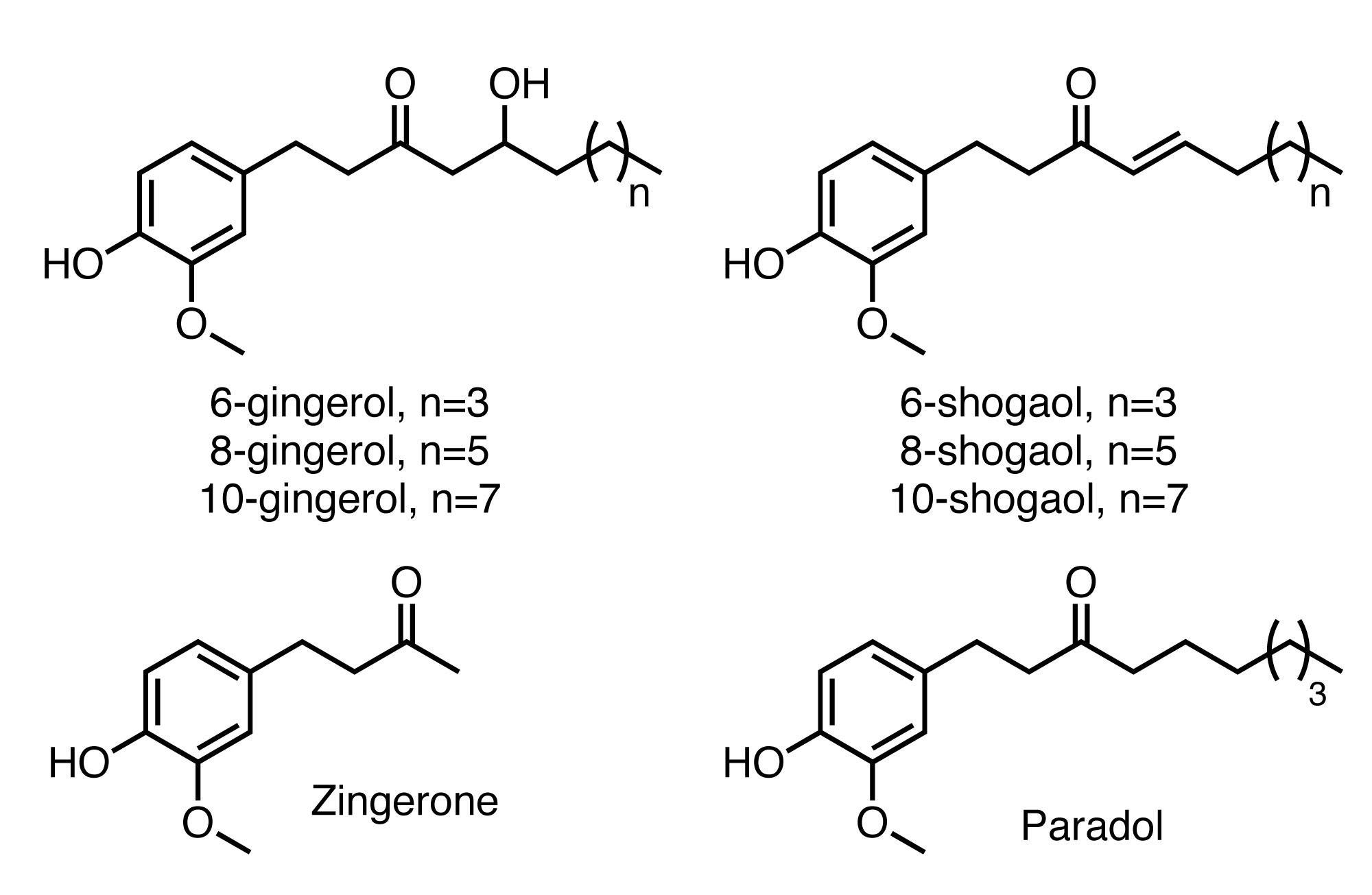 ‘Ginger-meter’ tests strength of spice samples | Research | Chemistry World
