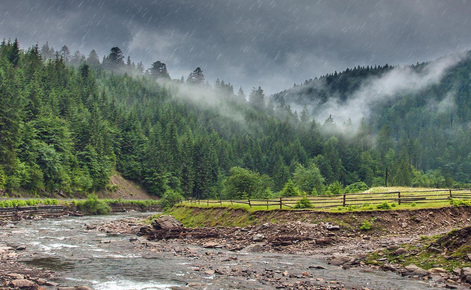 Alkaline surprise for acid rain formation | Research | Chemistry World