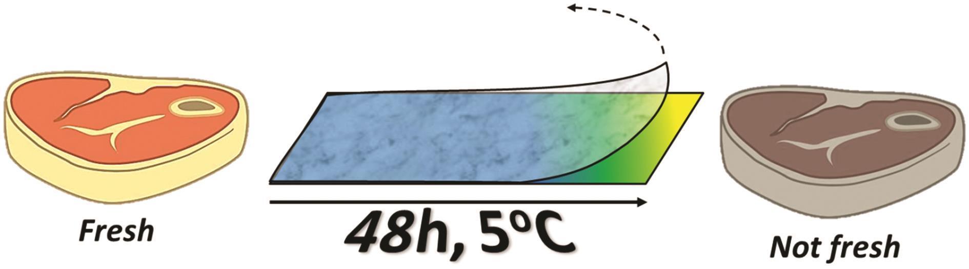 Traffic light label indicates food freshness | Research | Chemistry World
