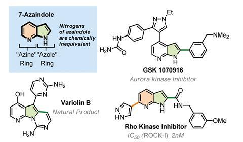 Directing group ‘dance’ decorates heterocycles | Research | Chemistry World
